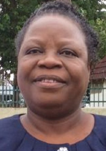 Penpushing editorial board chairman, Funke Fadugba joins Vice President ...