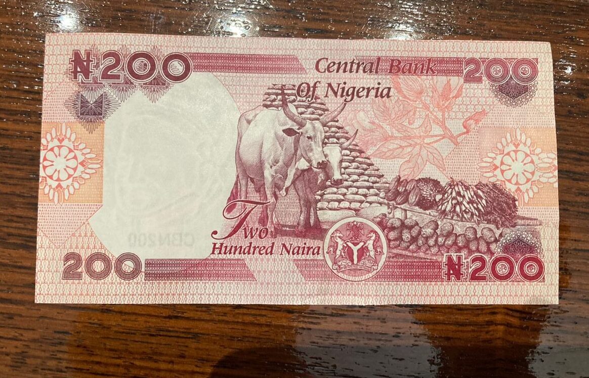 Nigerian government unveils new naira notes - PENPUSHING