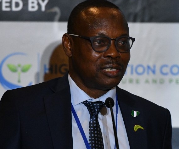 For records: Minister Kunle Salako's speech at the high level event for ...